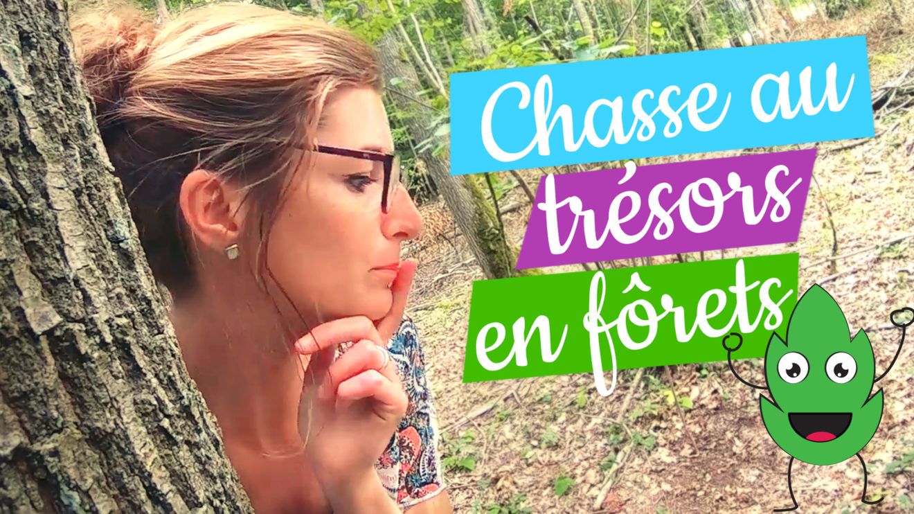 Chasse aux trésors dans la forêt - ManzaBull'