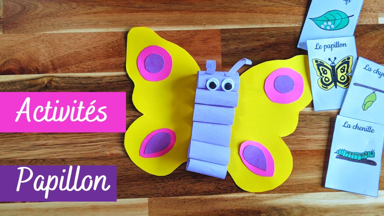 Le papillon : activités manuelles et fiches - ManzaBull'