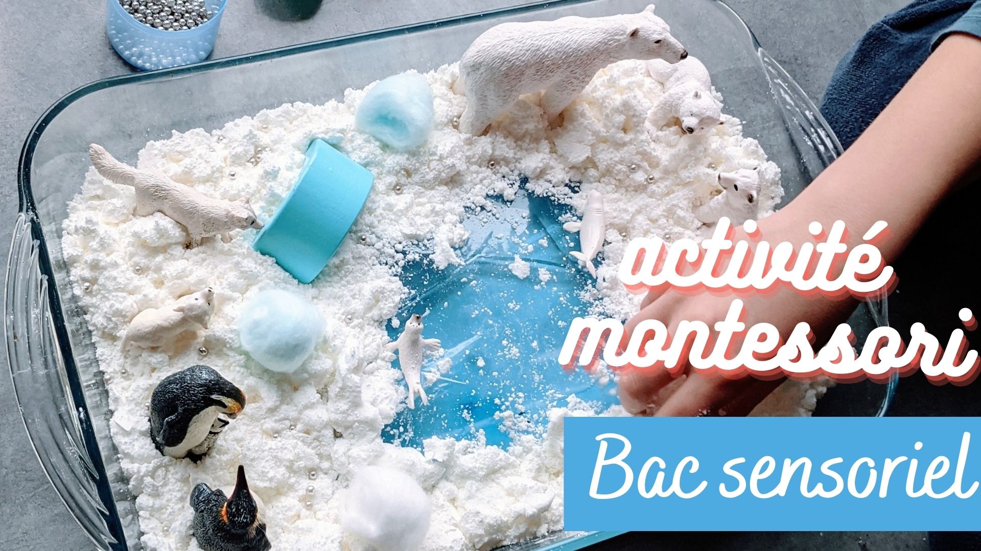 Bac sensoriel de la banquise Montessori - ManzaBull'