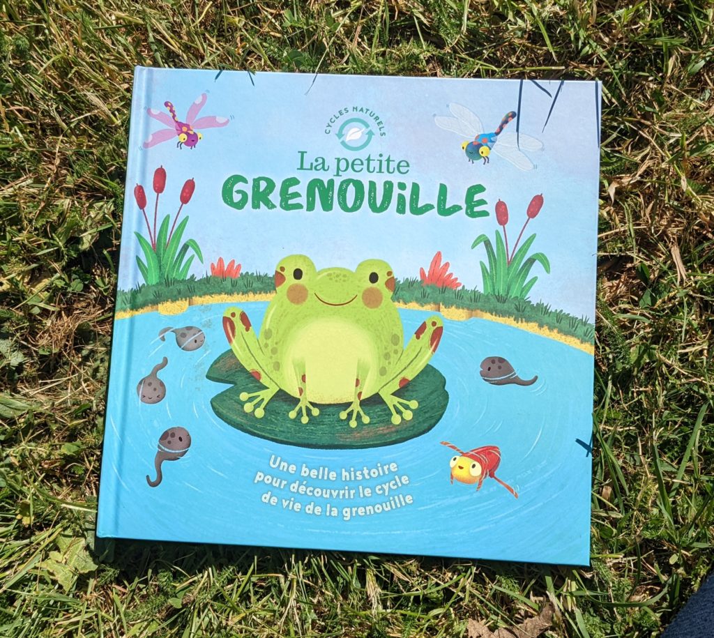Activité d'éveil à la nature : le cycle de vie de la grenouille ...