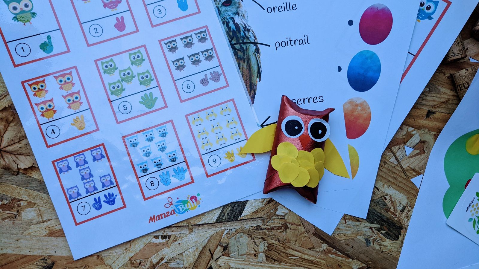 Activités d'automne sur le thème du hibou - ManzaBull'