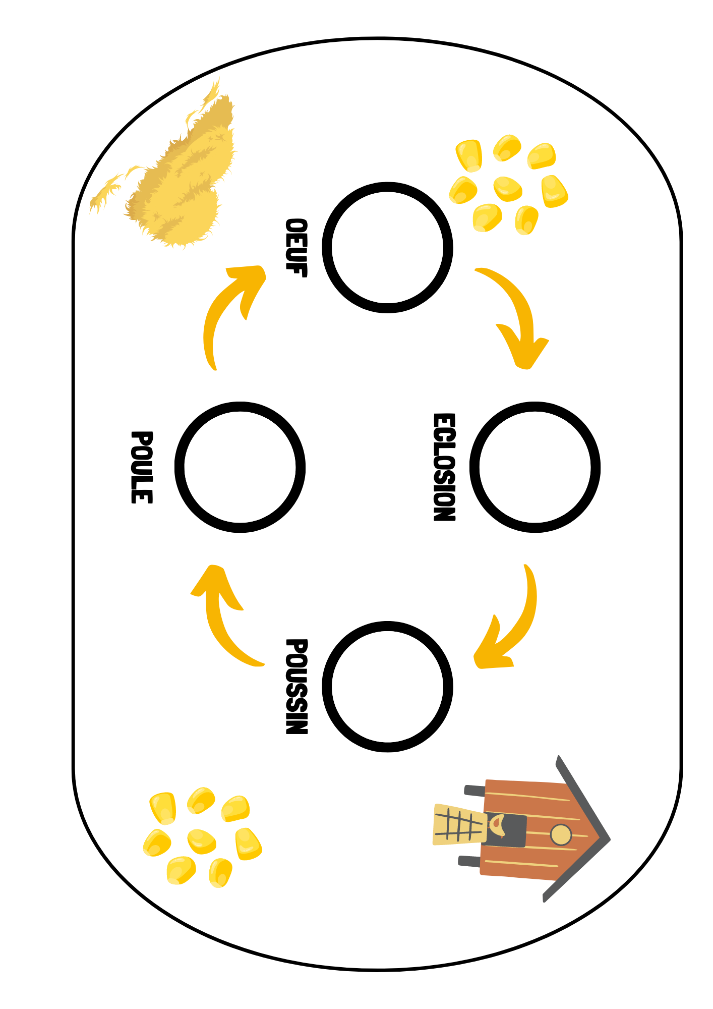 Le cycle de vie de la poule - ManzaBull'