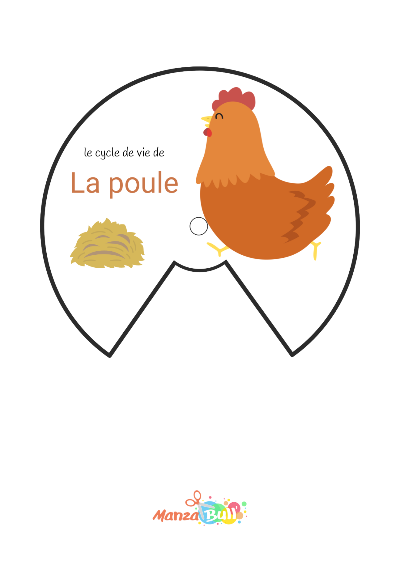 Le cycle de vie de la poule - ManzaBull'