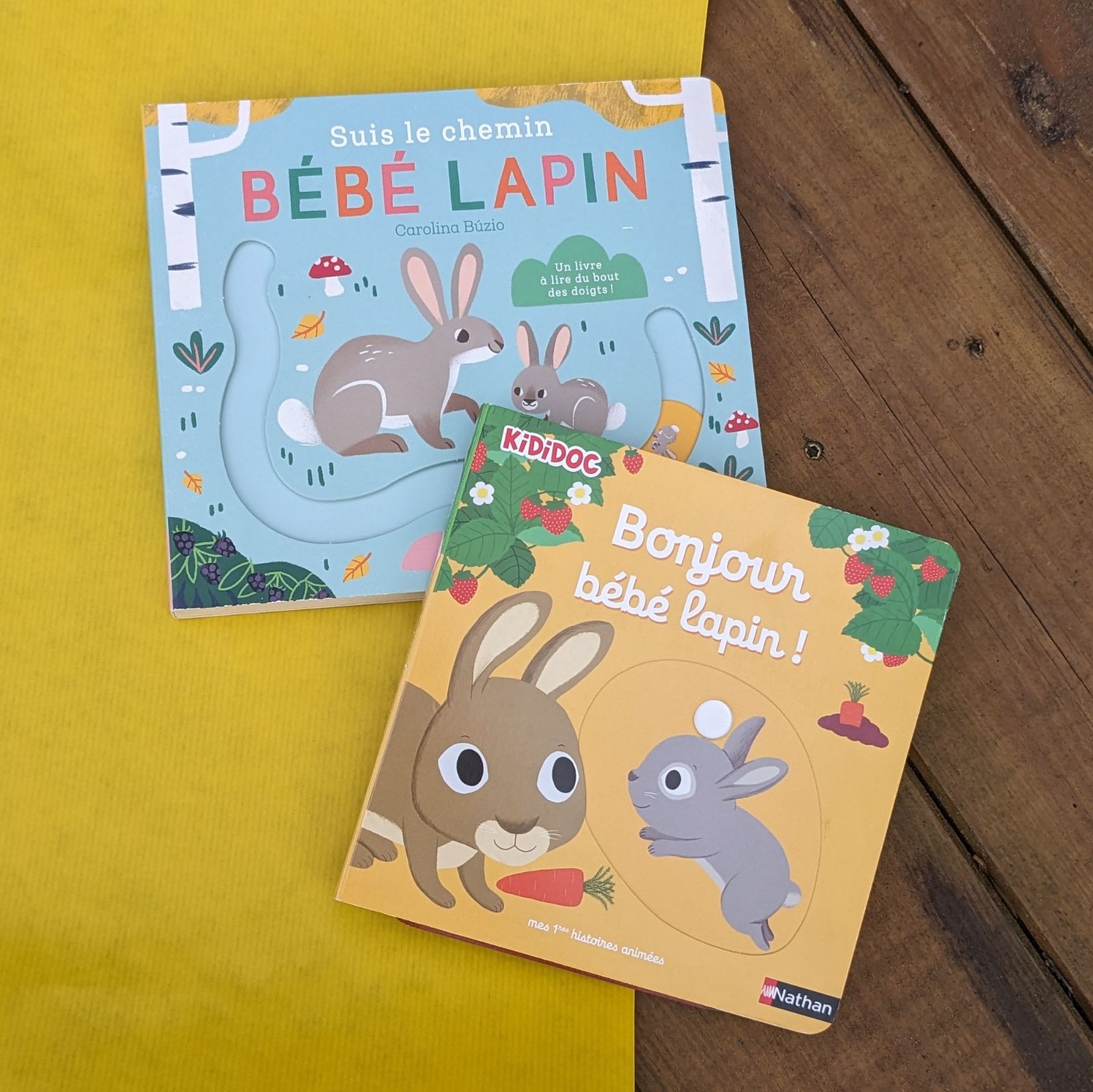 Bac d'activité sur le thème du lapin - ManzaBull'