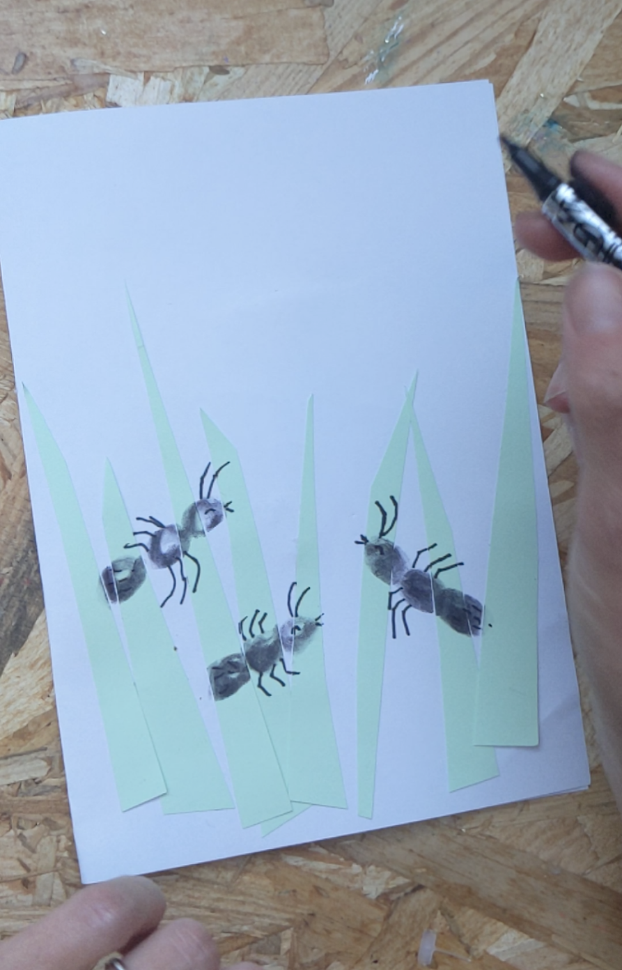 Atelier sur le thème des fourmis - ManzaBull'