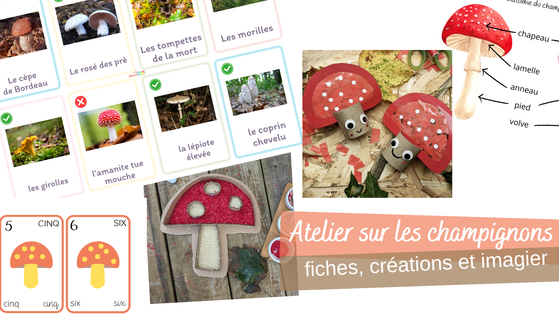 Atelier d'automne sur les champignons - ManzaBull'
