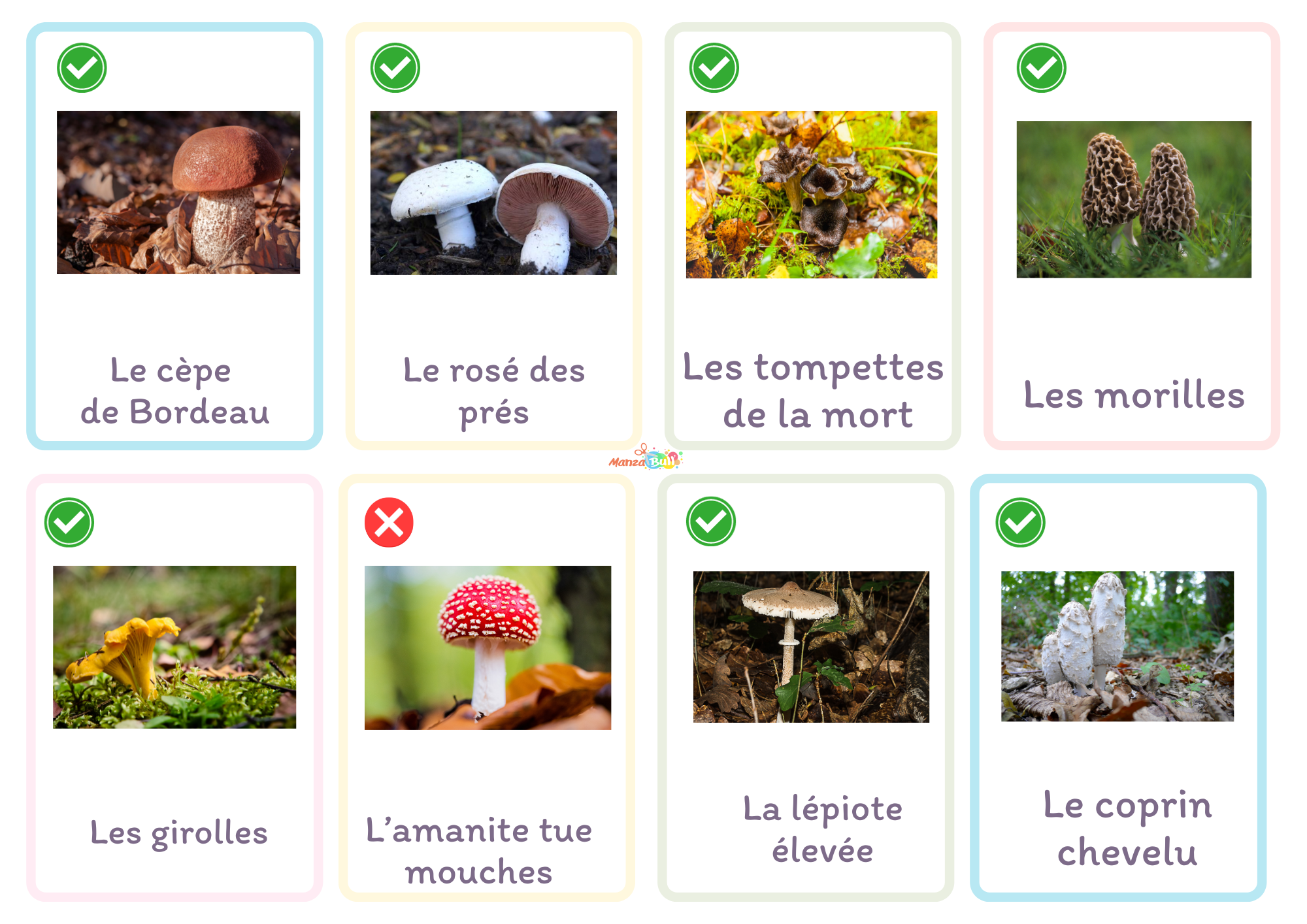 Atelier d'automne sur les champignons - ManzaBull'