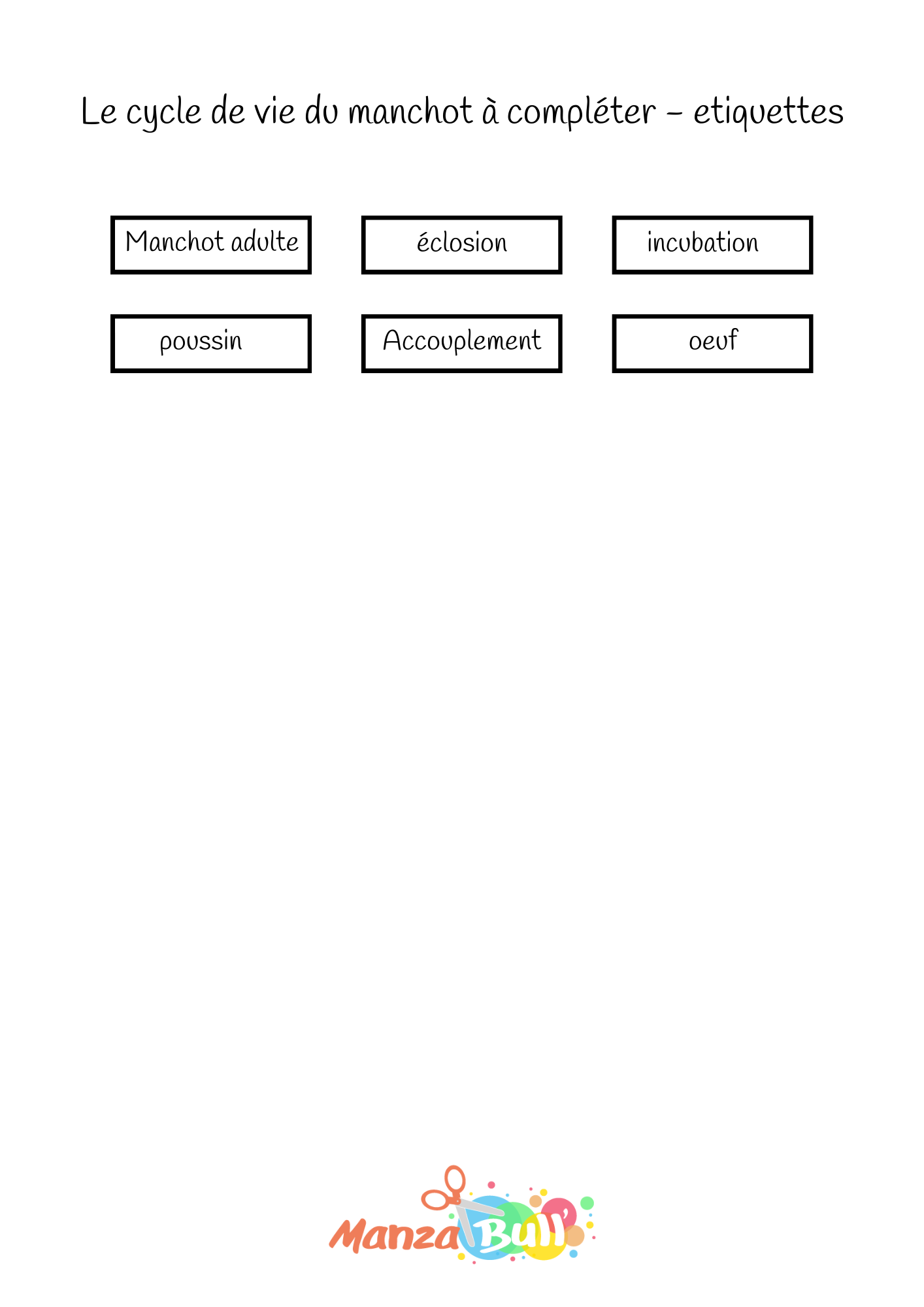 Le cycle de vie du manchot - ManzaBull'
