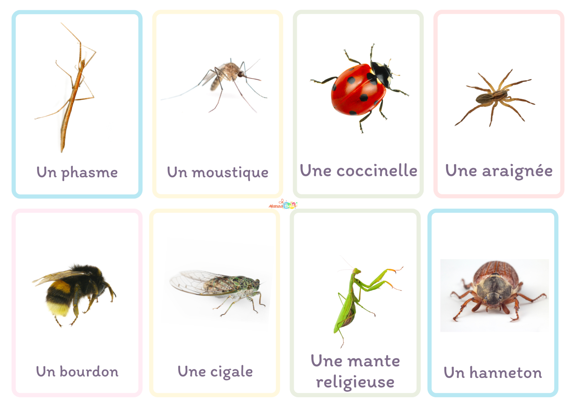 Imagier sur les insectes à imprimer - ManzaBull'