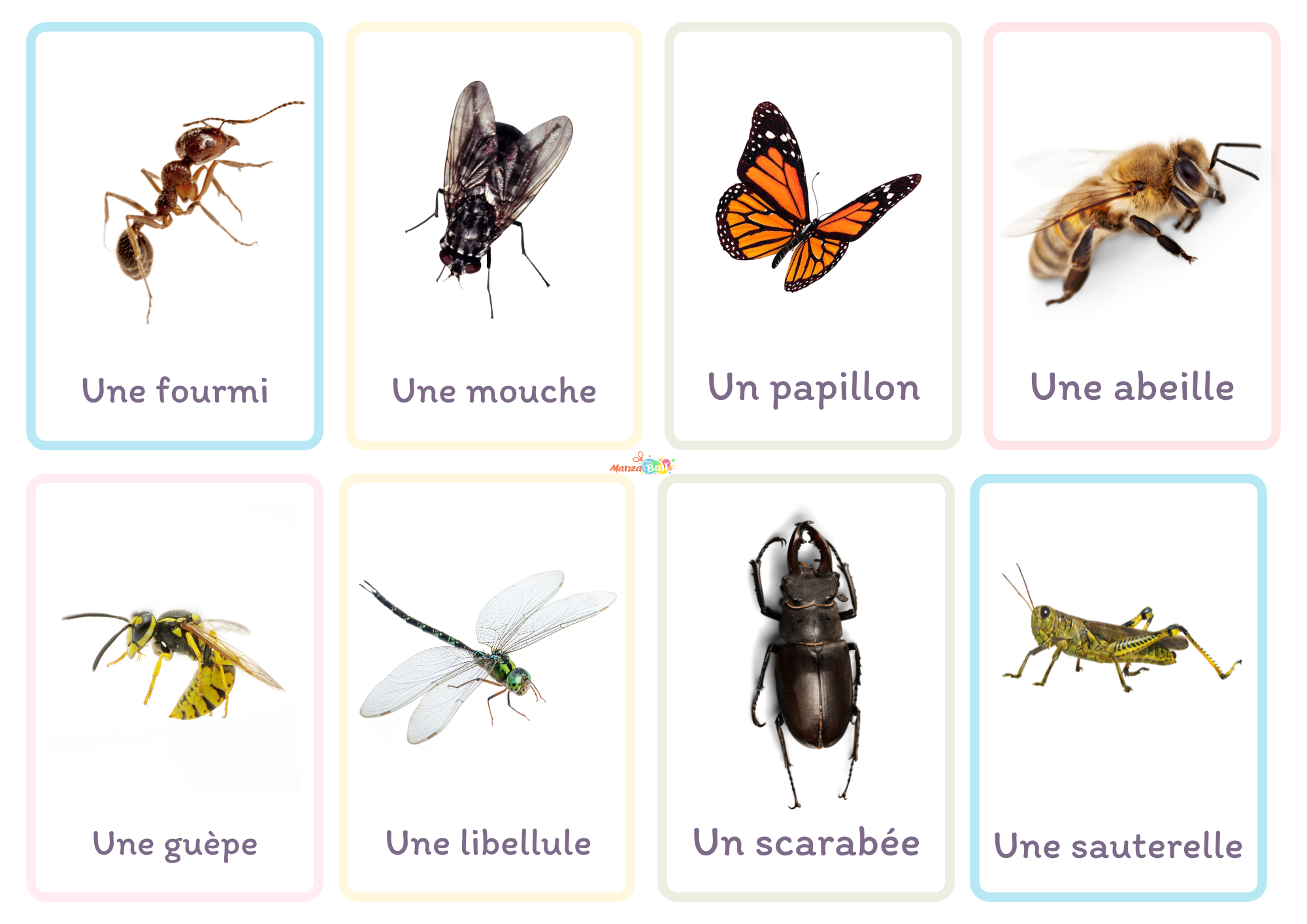 Imagier sur les insectes à imprimer - ManzaBull'