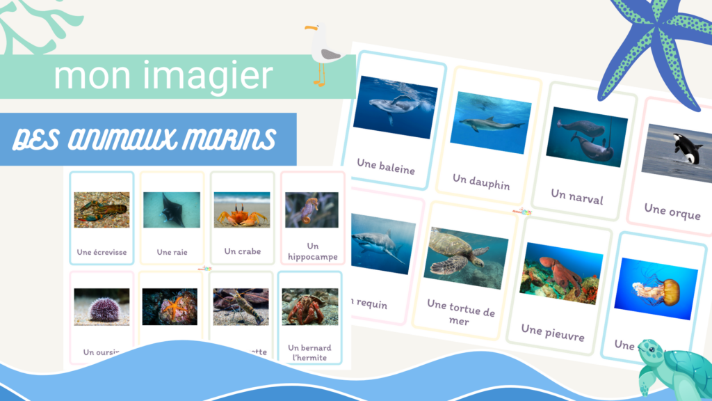 Imagier des animaux marins - ManzaBull'