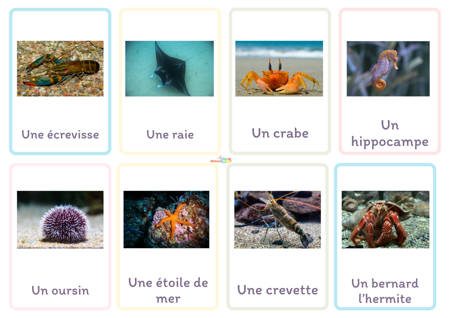 Imagier des animaux marins - ManzaBull'