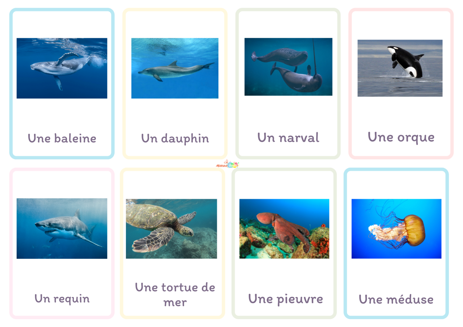Imagier des animaux marins - ManzaBull'