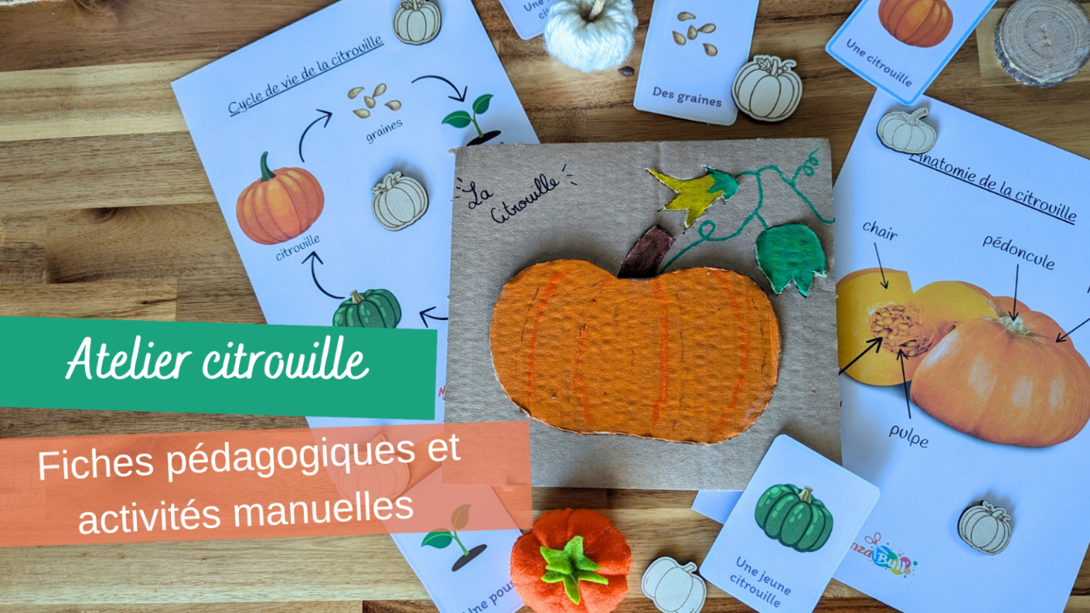 Activités manuelles et fiches pédagogiques sur la citrouille - ManzaBull'