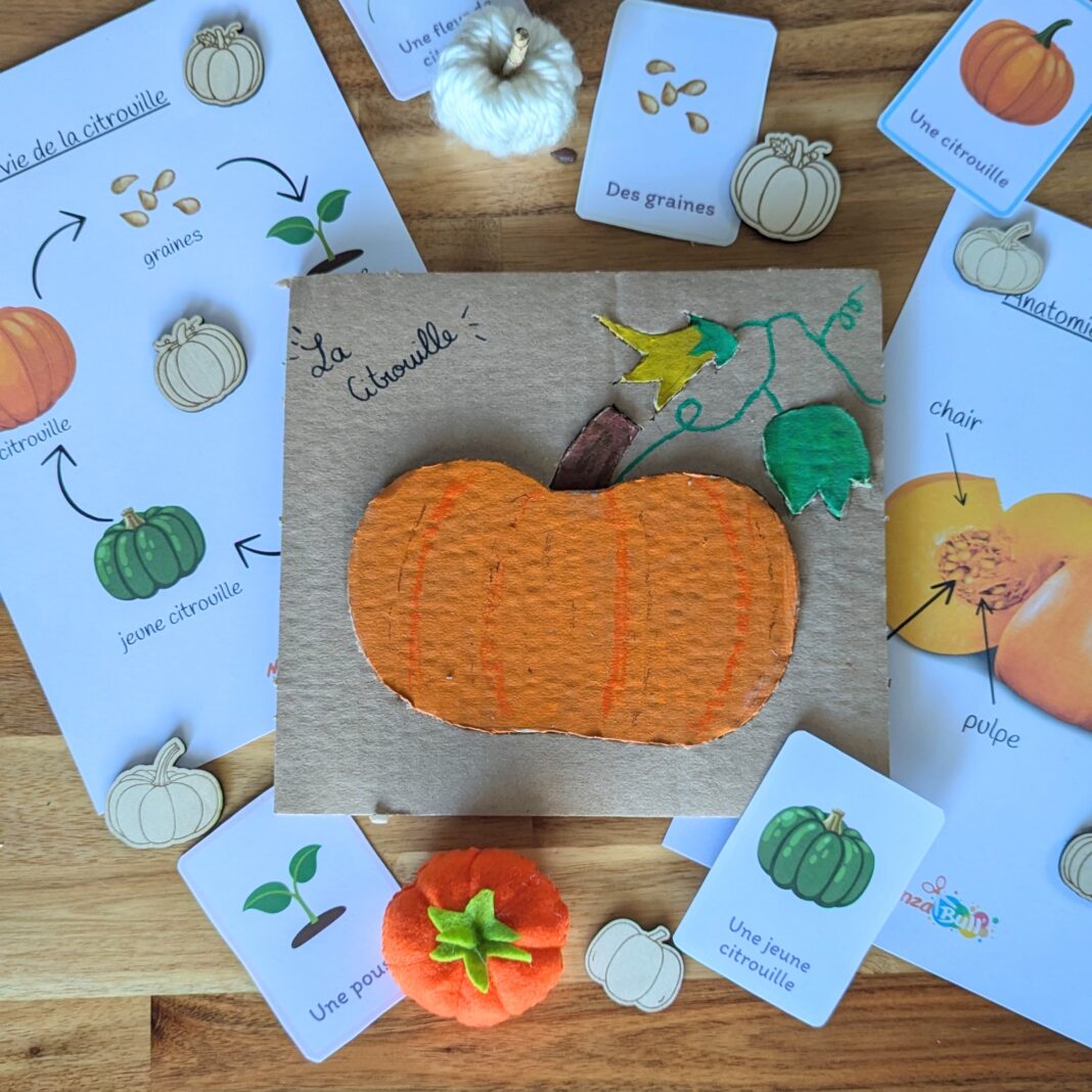 Activités manuelles et fiches pédagogiques sur la citrouille - ManzaBull'