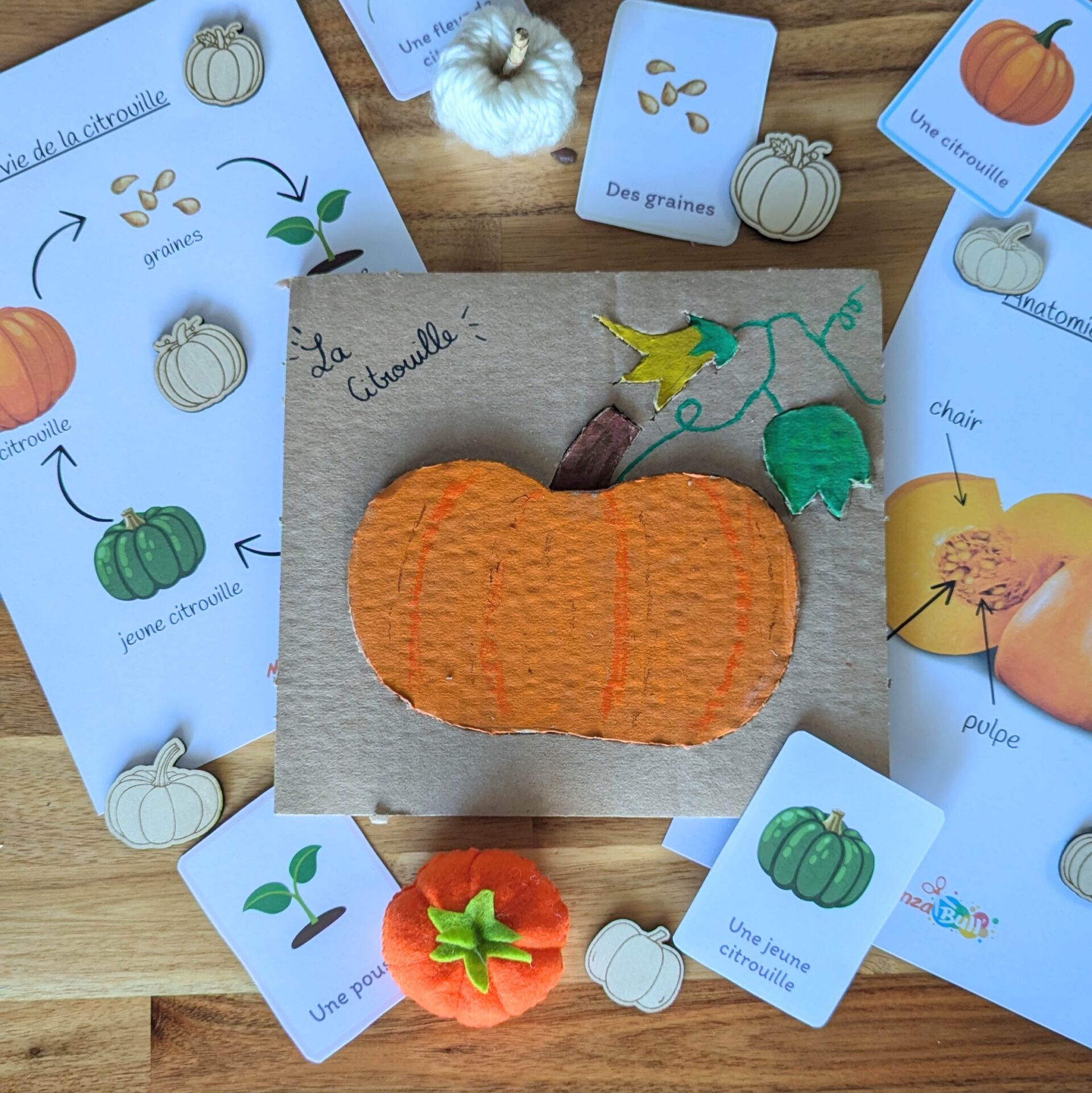 Activités manuelles et fiches pédagogiques sur la citrouille - ManzaBull'