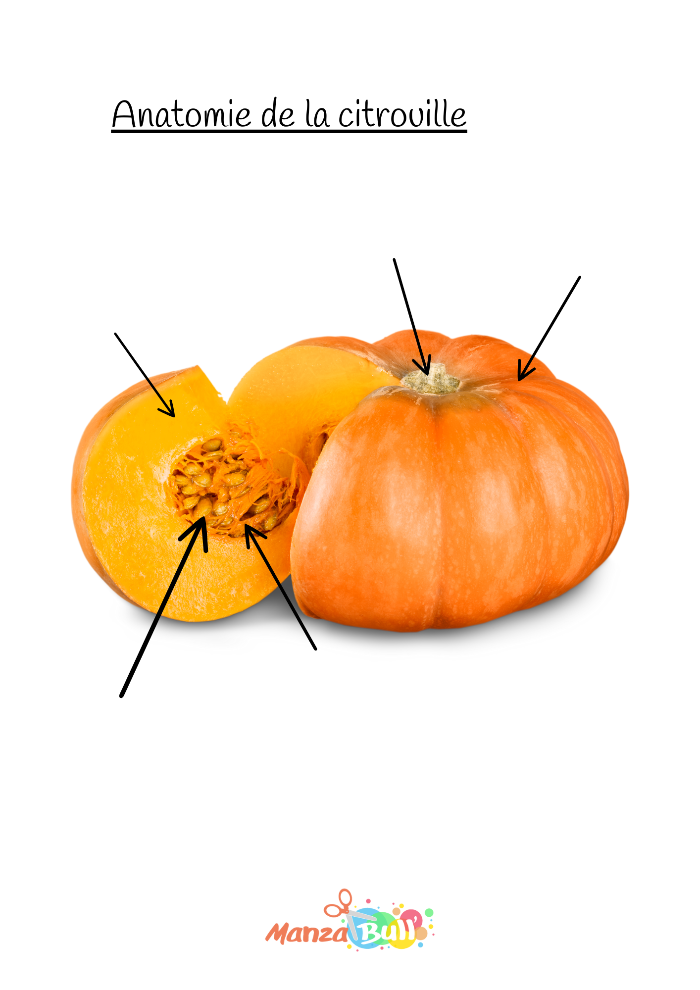 Activités manuelles et fiches pédagogiques sur la citrouille - ManzaBull'