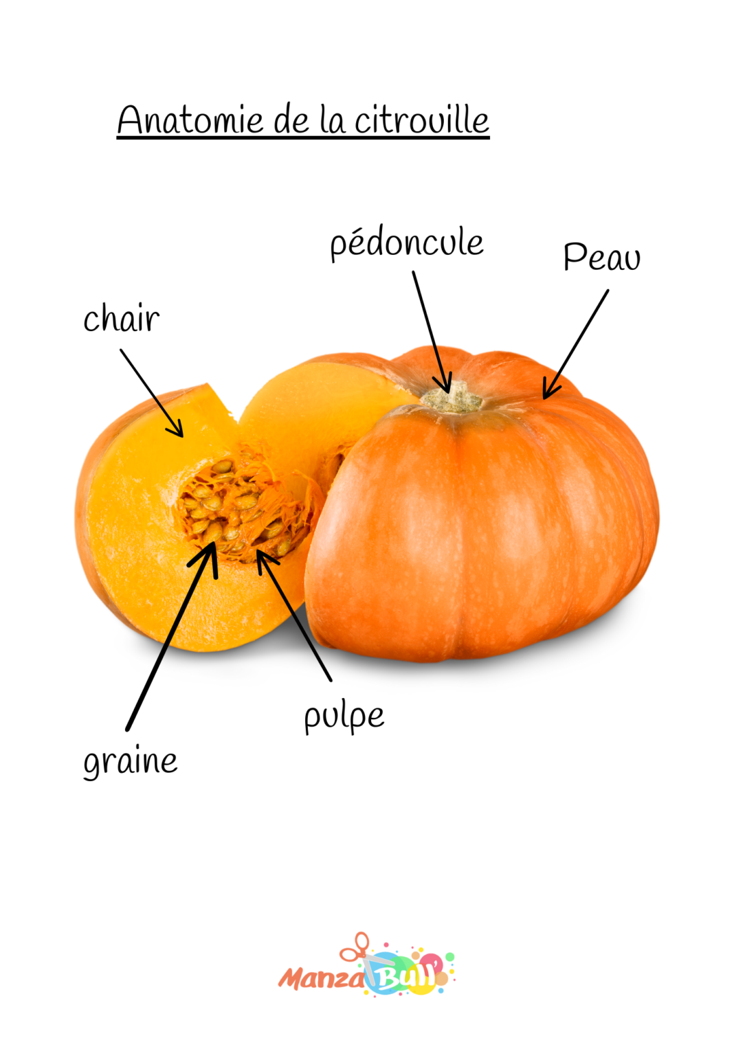 Activités manuelles et fiches pédagogiques sur la citrouille - ManzaBull'