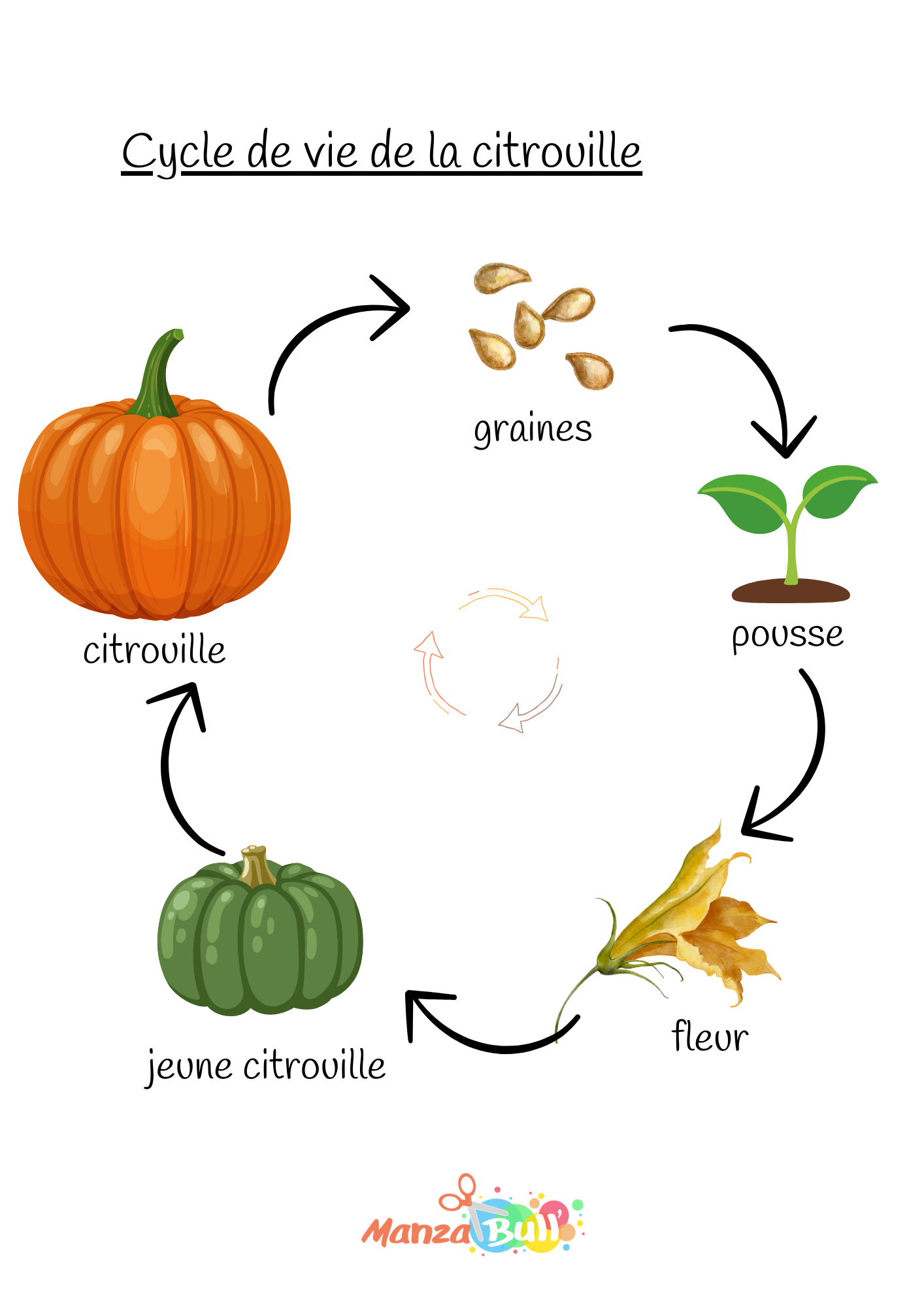 Activités manuelles et fiches pédagogiques sur la citrouille - ManzaBull'